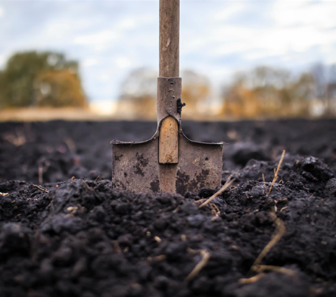 Building Soil Carbon | Farming Connect
